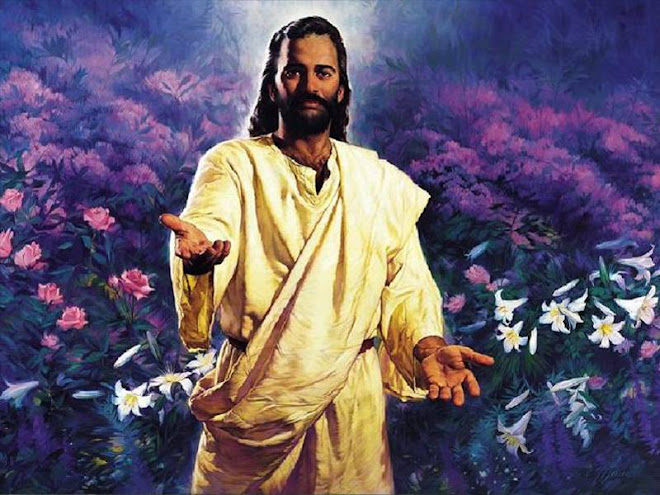 Pastor Michael McPherson's Blog: Why Seventh-day Adventists Don't ...