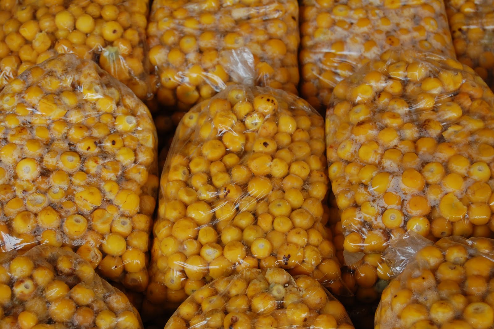 Seeds of Rare Tropical Plants: Byrsonima crassifolia (Amazonian nance ...