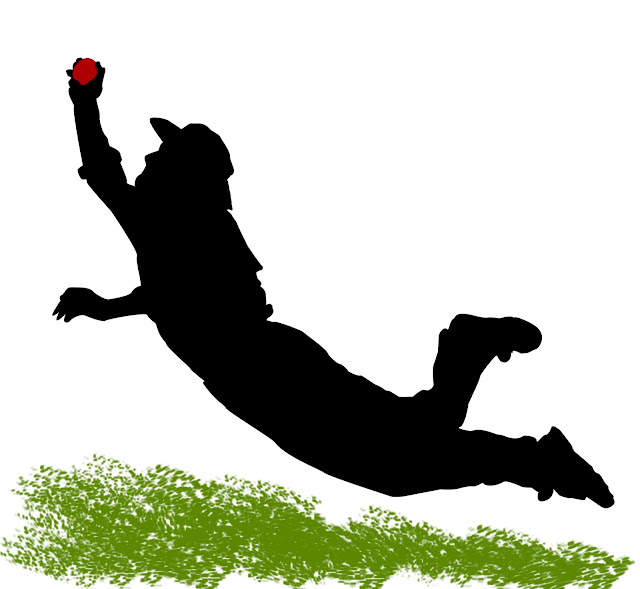 Cricket = Action = Art: 2010-09-05