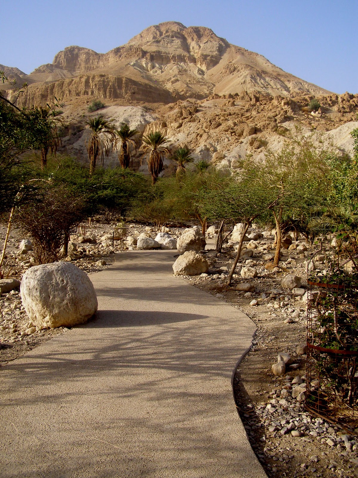 Everything Scriptural: Ein Gedi