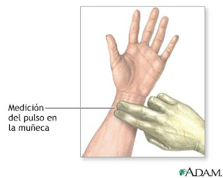 Manual de Primeros Auxilios: A-Revisión de Signos Vitales