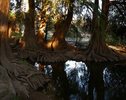 2010 México Bicentenario• • Aguascalientes• •