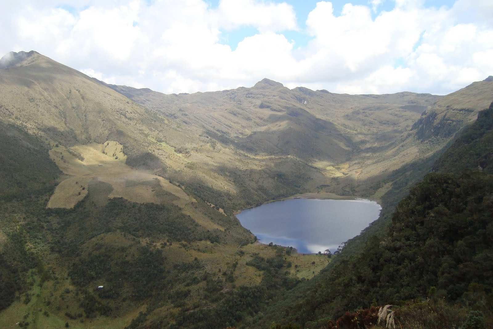 WILMER ALEXANDER: LAGUNA DE CACHALU