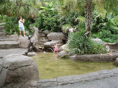 pic journal: Monkey Hill