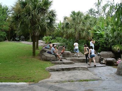 pic journal: Monkey Hill