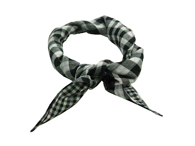 Fine And Dandy Shop: Limited Edition Neckerchief Collection