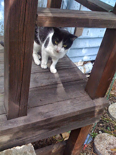 Greig Roselli — Teacher, Writer, Philosophy Sprinkles Maker: Poem: The ...