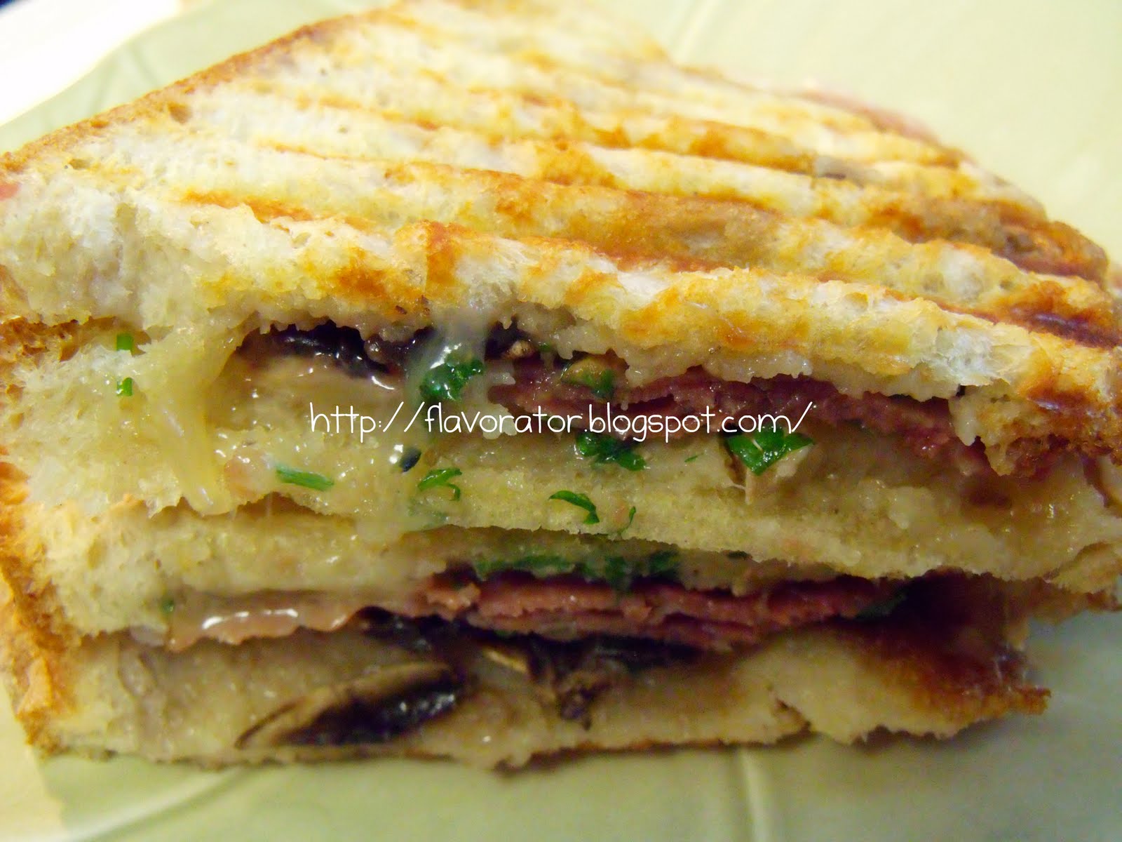 fLAVORATOr: Three Different Types of Panini's