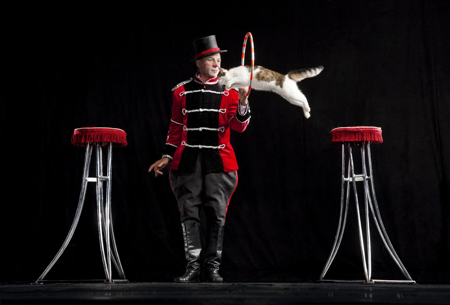 MATTHIAS CLAMER: pet circus