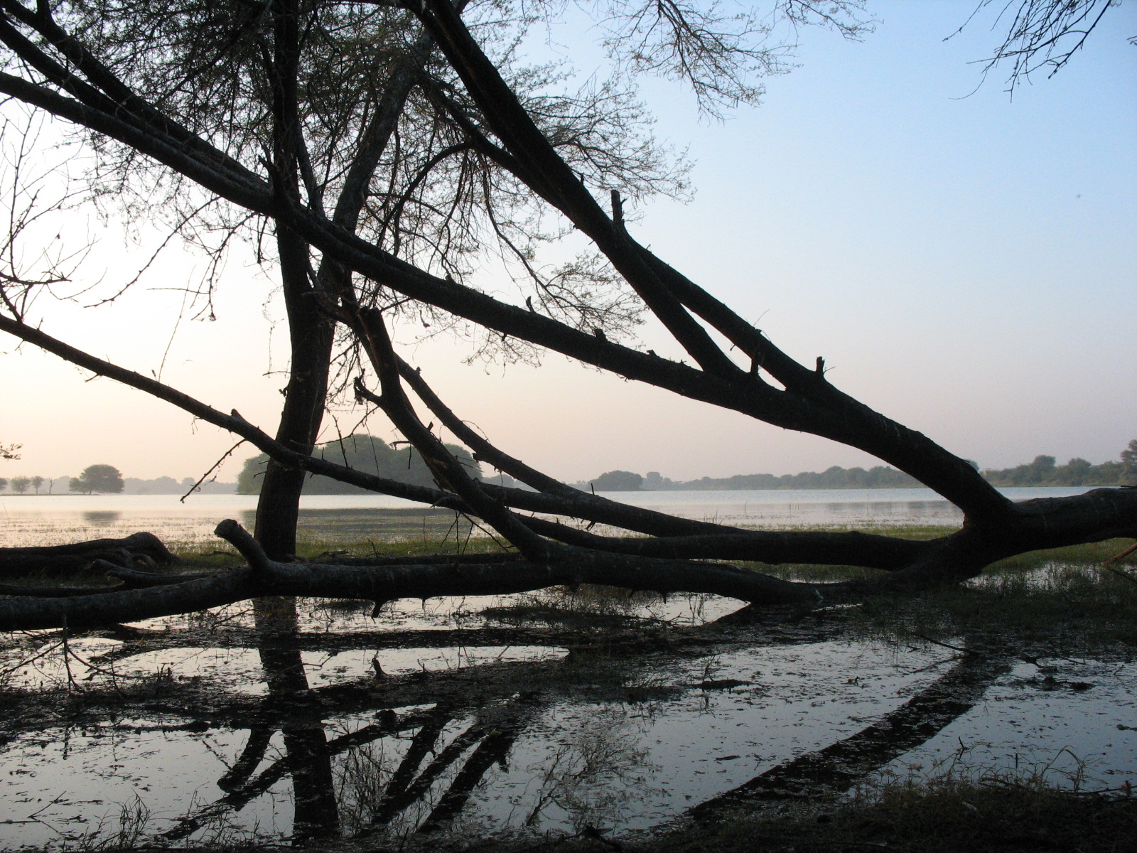 Top tips to spend a perfect weekend at Thol Lake Bird Sanctuary!