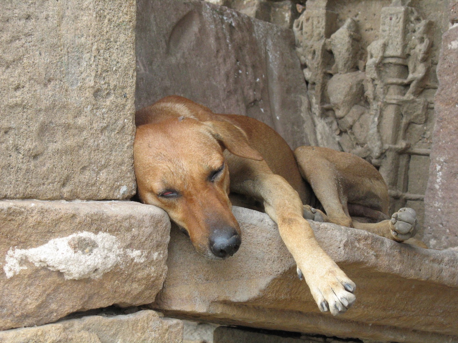 Viramgam Travel Blog: Top Tips for a visit!