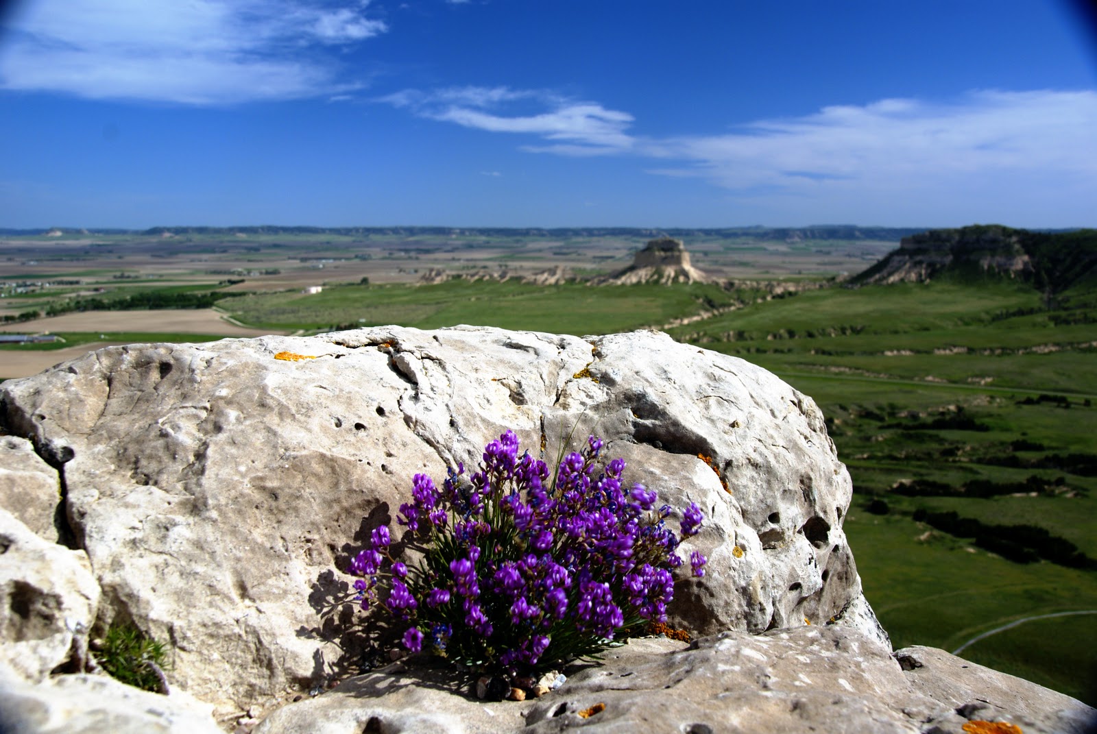 bsktgirl: NE | KS Scenery