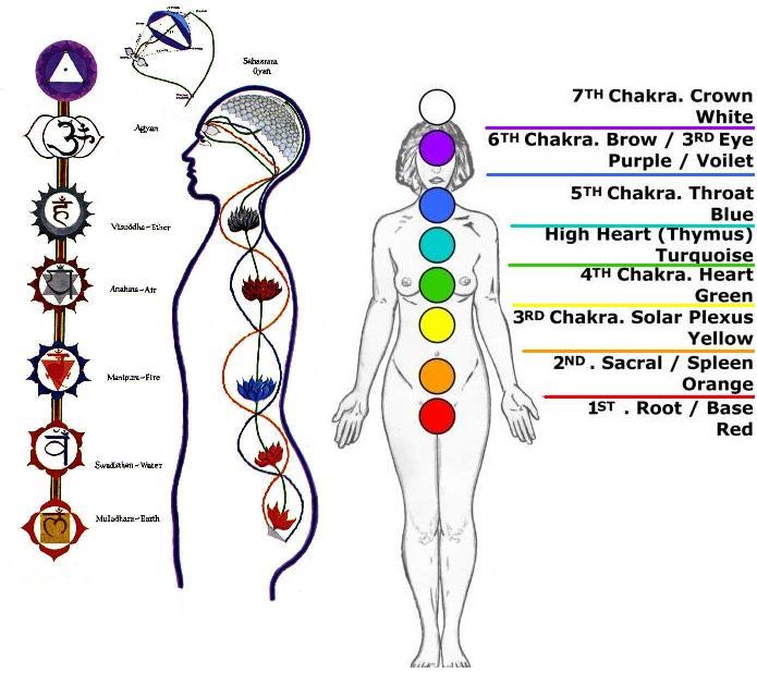 The CUPWA: An Introduction to the Chakras