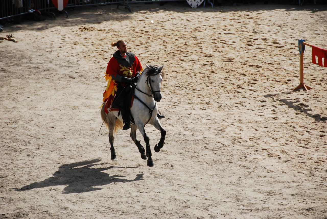 Anniversaire Dixieme a Paris: Spectacle Équestre!