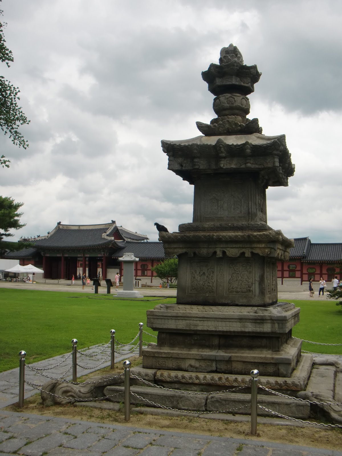 A Lizard in South Korea!!: Karlos and Michaelangelo come to VISIT!