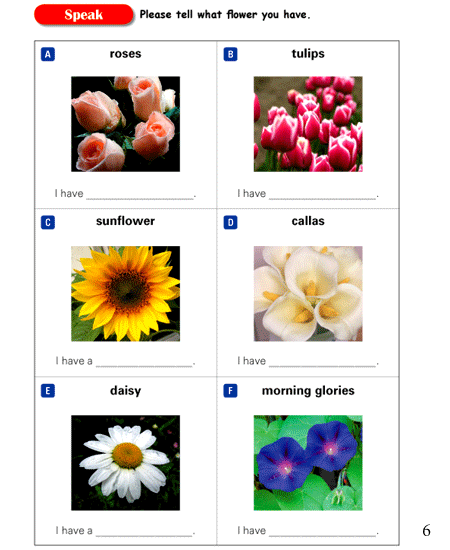 Junior English: Lesson 1: Learning Different Flowers