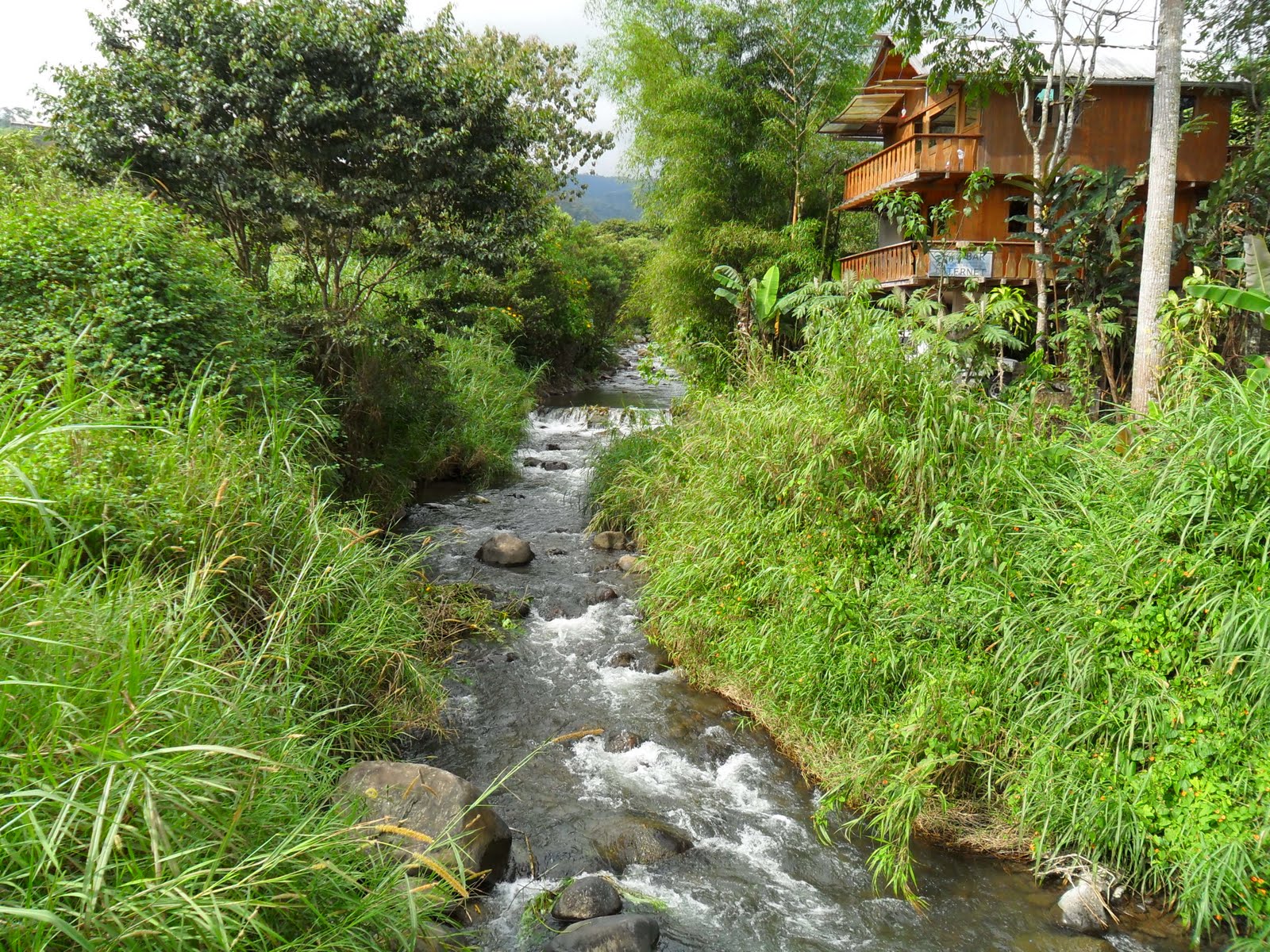 Volunteering in Ecuador: Beautiful Mindo (Mindo Lindo)