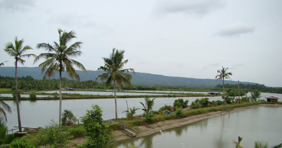 (Inactive) Shrinidhi's Photo Blog: Kerala West Coast photos