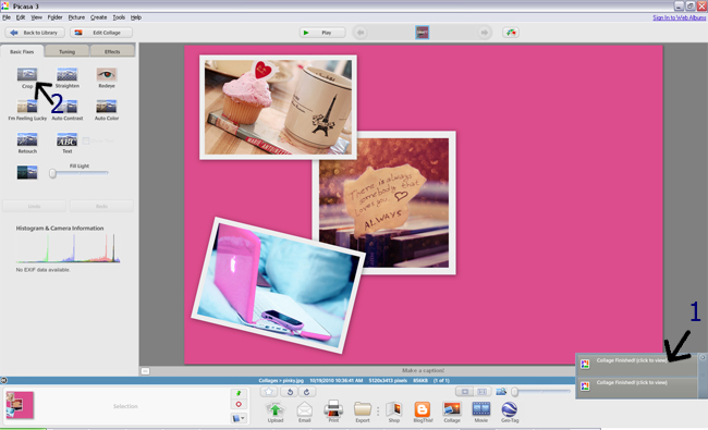 talkIsaid: Picasa Tutorial - Collage (Part 1)