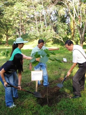 OUR PHILIPPINE TREES: Towards a Goal of a Hundred Native Trees