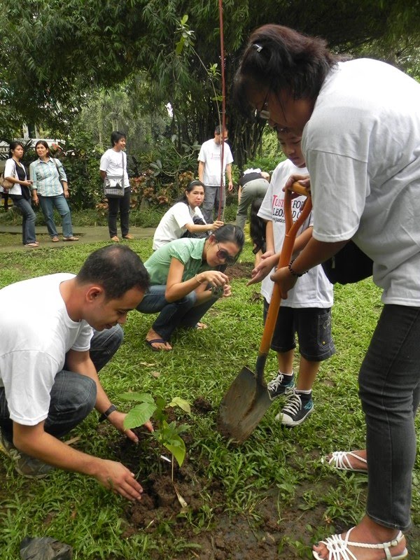OUR PHILIPPINE TREES: December 2010