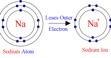 Chemistry^^: 2. Draw the atomic structure of a sodium atom and a sodium ...