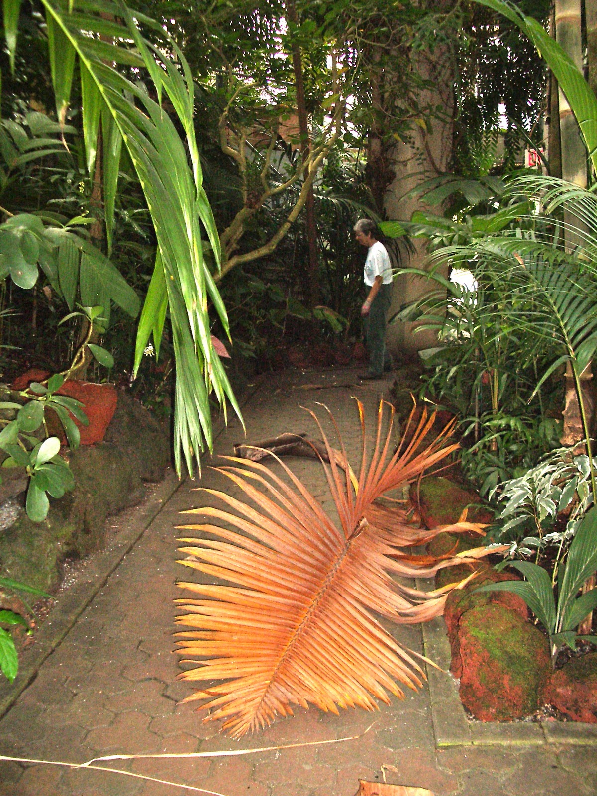 floraphile: A Superficial Tour of Floraphile Heaven: The Dorothy ...