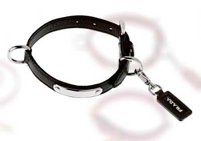 Troy: prada's dog collar and leasch