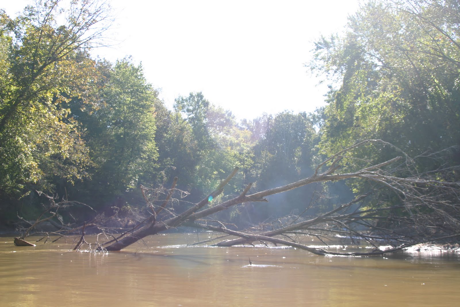 Tennessee's Scenic Hatchie River: Hatchie Clean up number 2