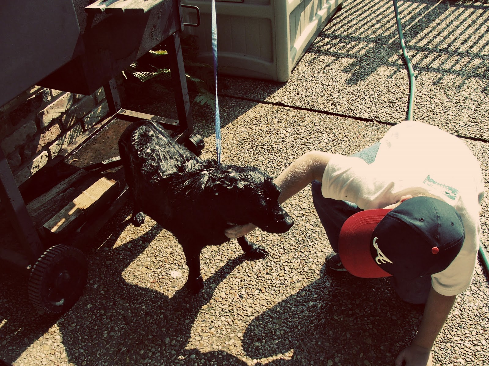 The Better Part: Dixie Dog