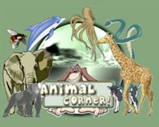 Resources for teachers: Animal Corner