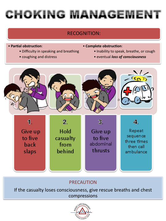 jejalan2je: Basic Life Support course 2013