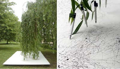 Le territoire des sens: Tim Knowles