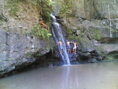 http://bugzcollections.blogspot.com/: PASALAN FALLS, ZAMBOANGUITA, NEG. OR.
