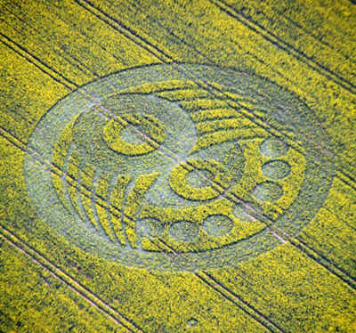 Crop Circle pertama di tahun 2010 muncul di Old Sarum! - Blog misteri ...