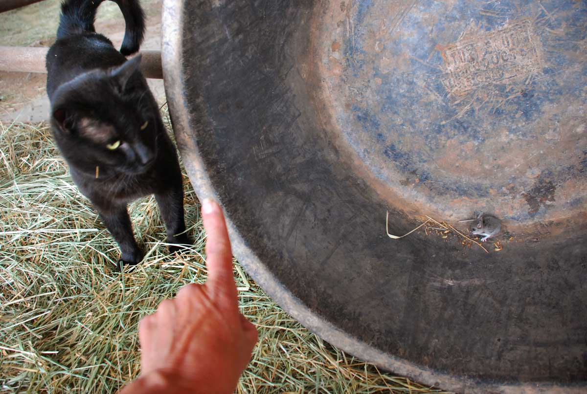 The 7MSN Ranch: Deets and Jerry