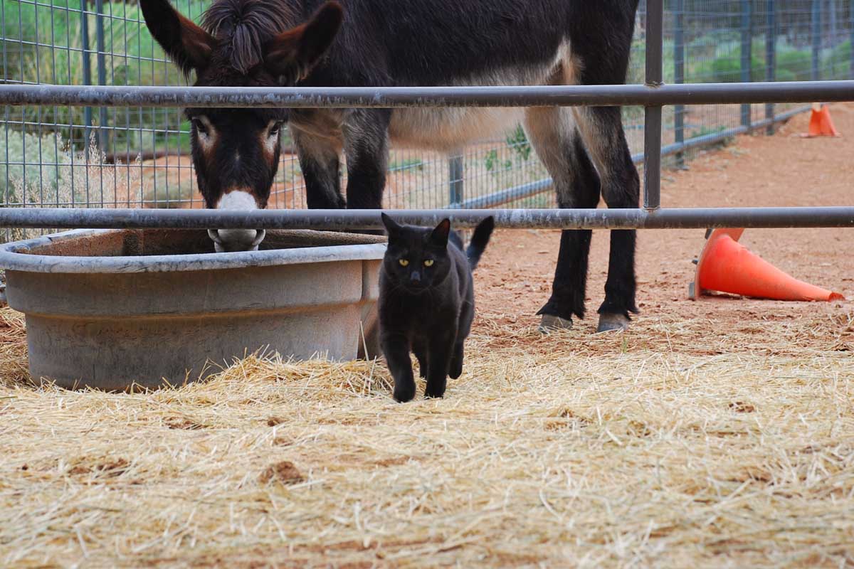 The 7MSN Ranch: Deets and Jerry