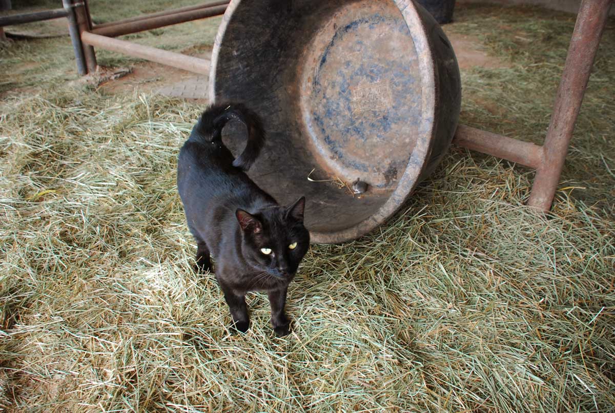 The 7MSN Ranch: Deets and Jerry