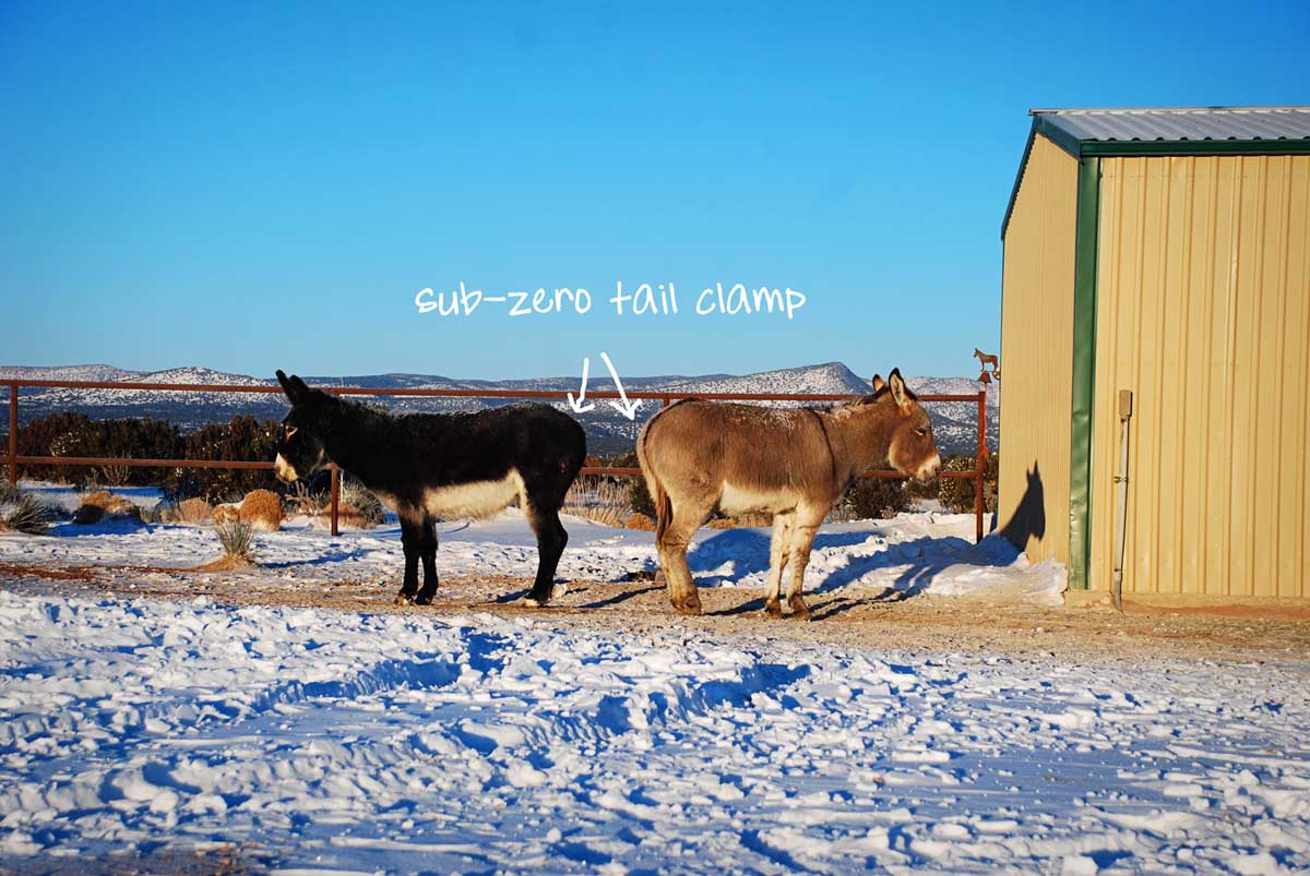 The 7MSN Ranch: The 7MSN at minus 27 degrees