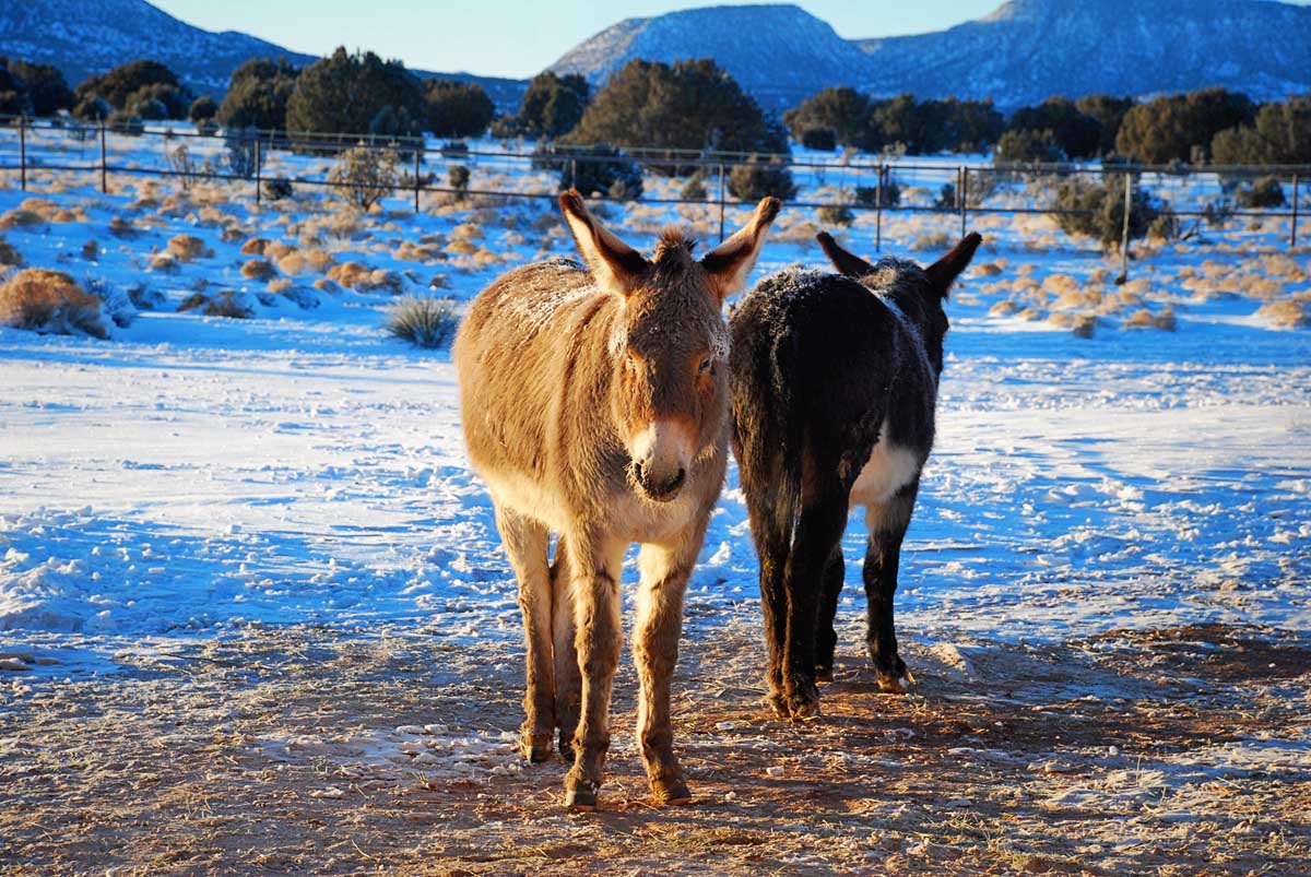 The 7MSN Ranch: The 7MSN at minus 27 degrees