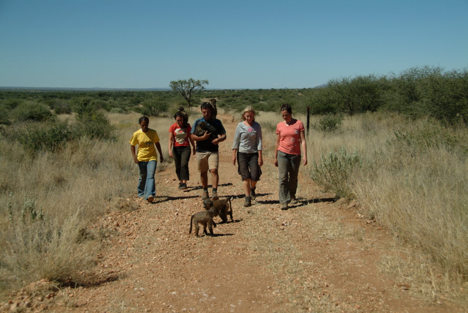 A Year of Summer: Na/ 'an ku se Part II