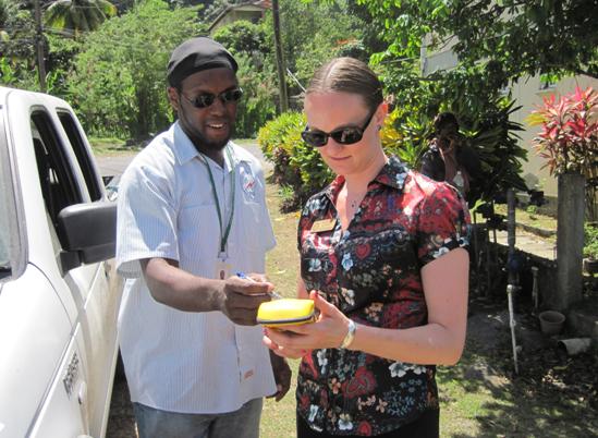 "Put-de-lime-in-de-coconut...": Dominica Electric (DOMLEC) and GIS