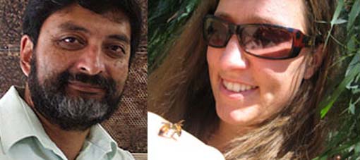 Я - ПЧЕЛОВОД: Оказывается, пчёлы умеют считать