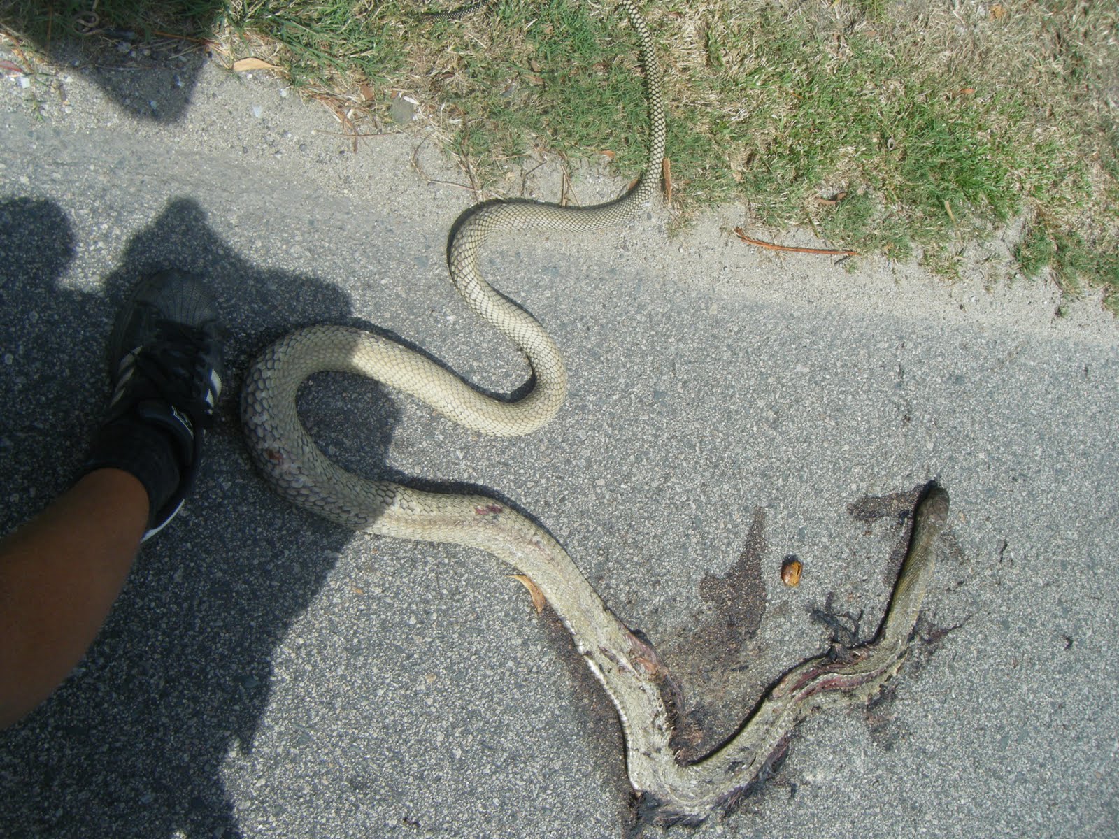 Cycling trip from England to Australia: South Thailand to Singapore!