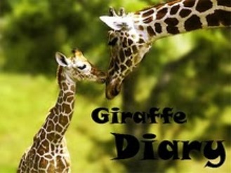 Giraffe' diary
