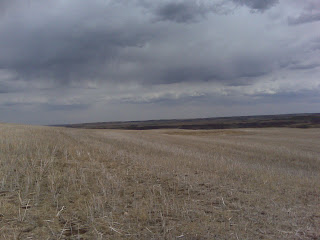 Blackholes and astrostuff: The Saskatchewan (Buzzard Coulee) Meteorite ...