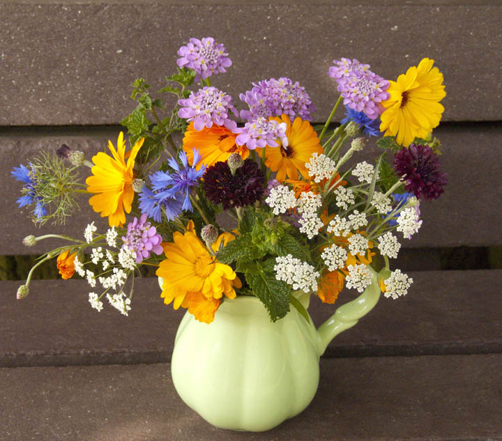 A Small Garden: Cut flowers