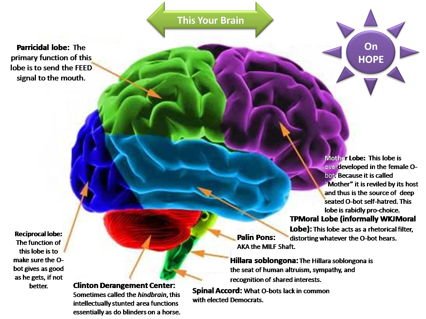 your-brain-on-hope5+annabellep.files.wordpress.com (image)