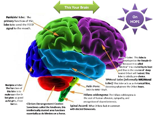 LAUGH Passion: Laughter and the brain