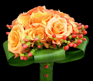 The Kitty Pad: Friday Flower: Milva Rose